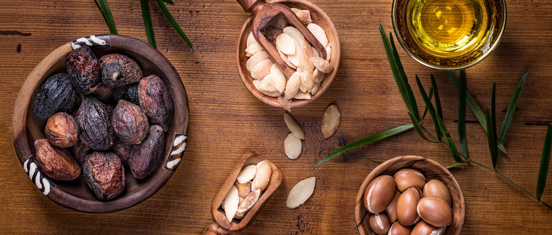 Top 11 Health Foods from Mother Nature | GaiaGoodHealth